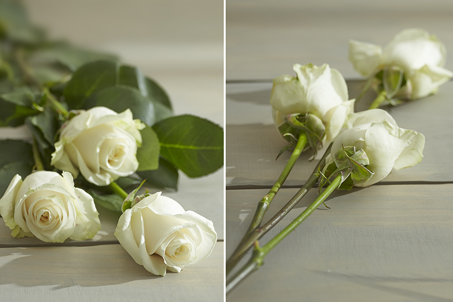 How to Make Painted Flowers | Petal Talk