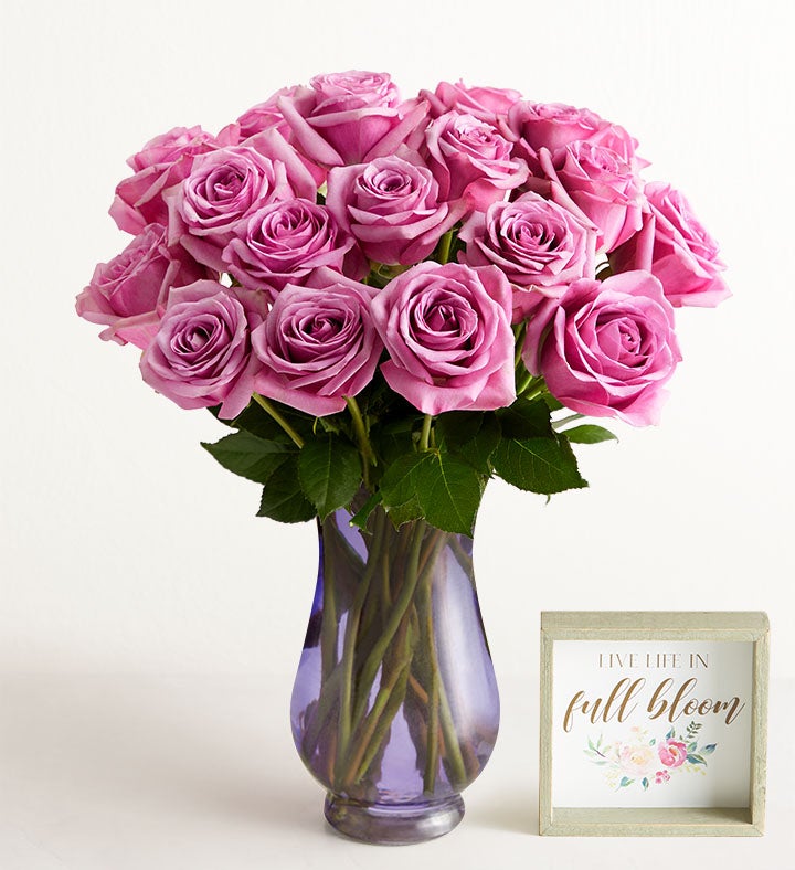 Types of Roses | Rose Varieties | Petal Talk