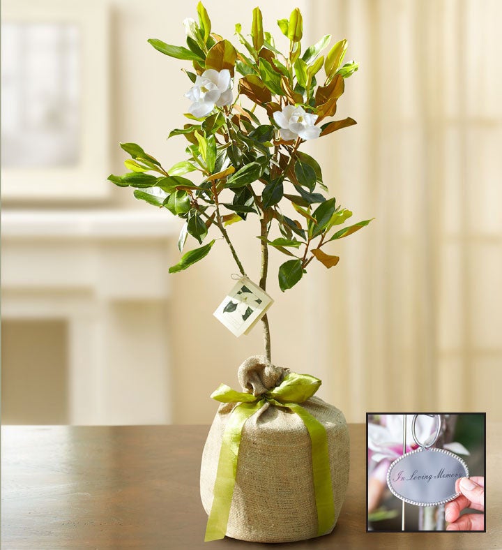 65 Thoughtful Sympathy Card Messages | Petal Talk