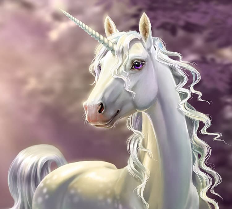 10 Magical Facts About Unicorns | Petal Talk