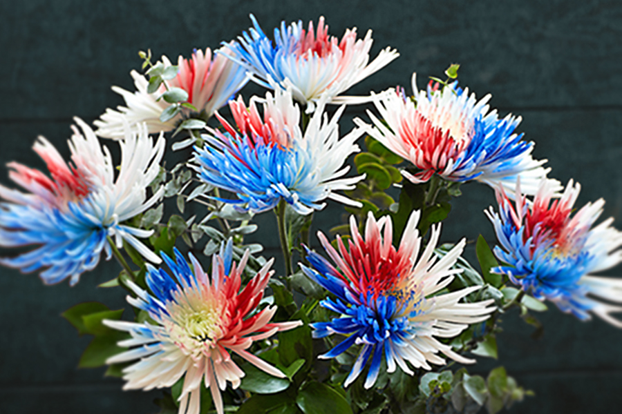 How to Make Painted Flowers | Petal Talk