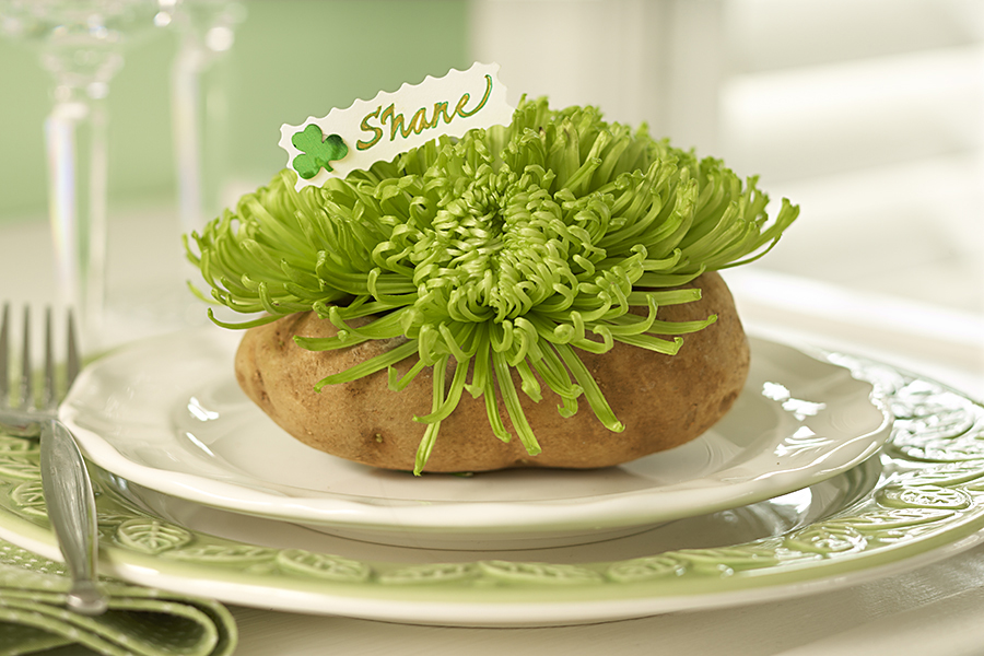 Vegetable Vase Ideas: Thinking Outside the Vase | Petal Talk