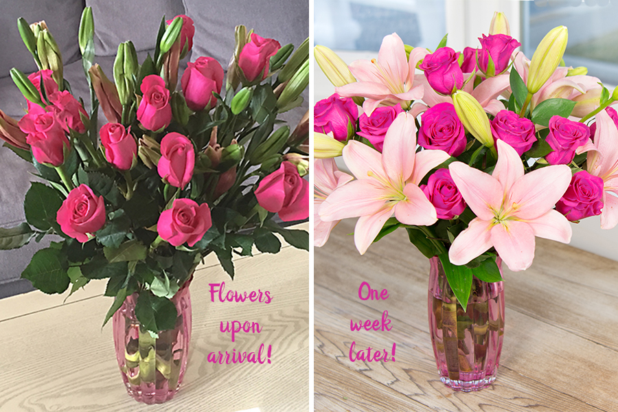 About Our Farm Fresh Flower Arrangements | Petal Talk