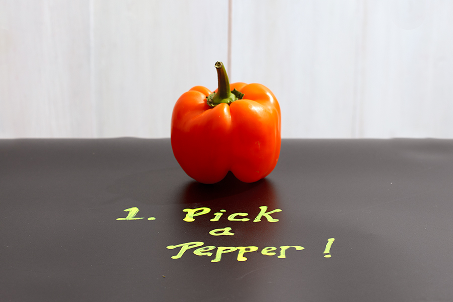 DIY Taco Decor Ideas | Taco Flowers | Petal Talk