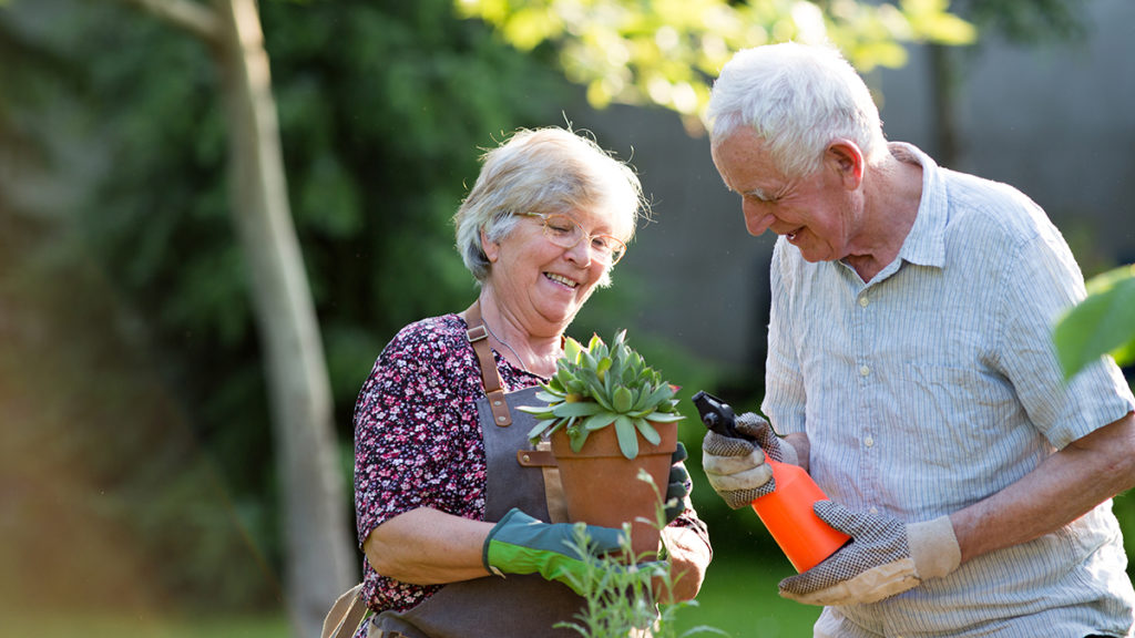 Memory Gardens Help Dementia Patients | Petal Talk