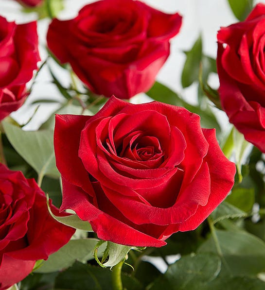 Chinese Flowers: Cultural Significance and Symbolism | Petal Talk