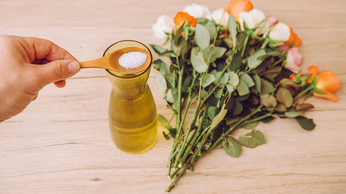 Rose Care | 5 Ways to Keep Roses Fresher Longer | Petal Talk