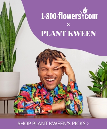 How to Decorate with Plants | Plant Kween's Tips | Petal Talk