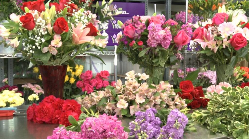 Flower Experts on Finding the Perfect Roses | Petal Talk