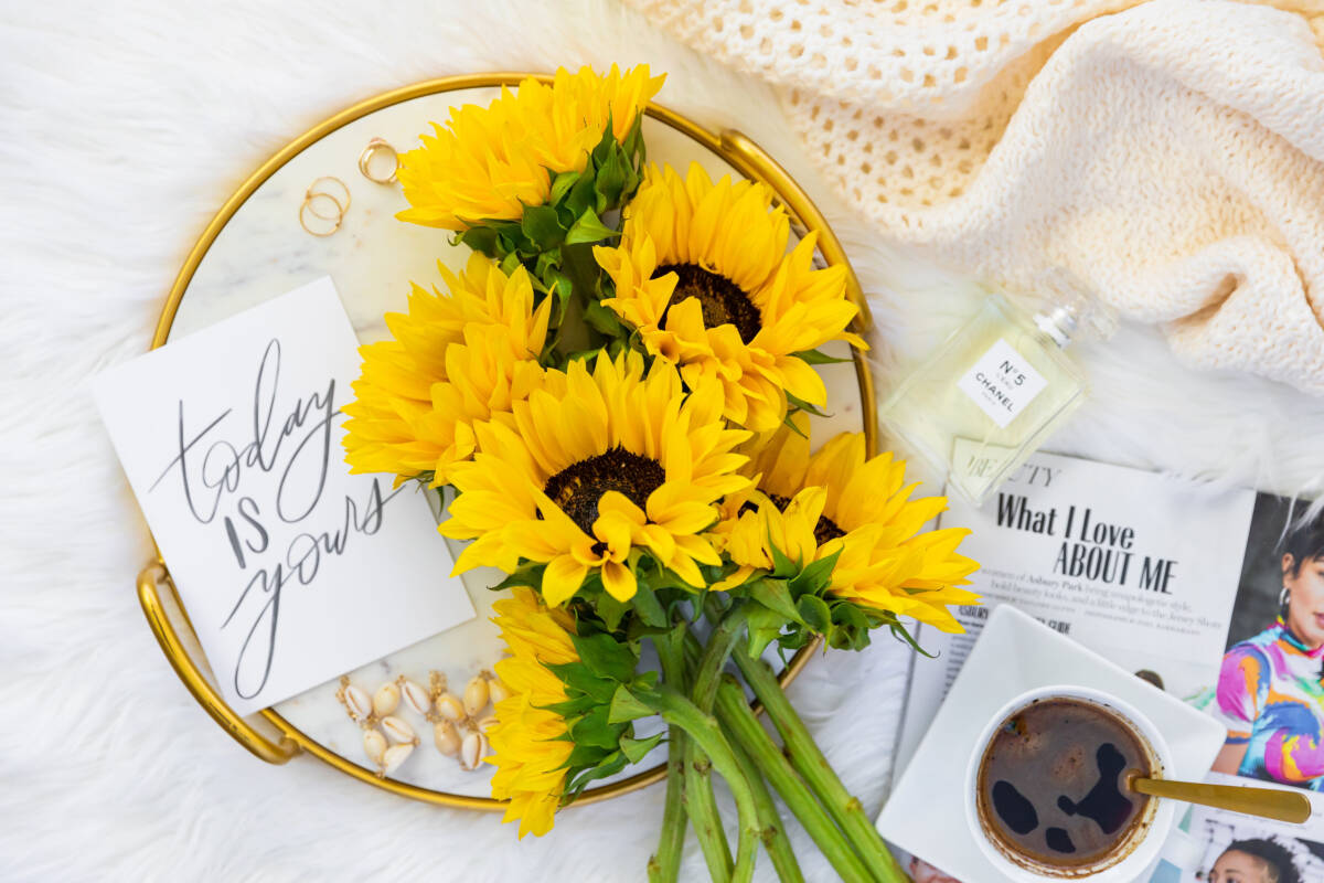 Sunflower Meaning and Symbolism | Petal Talk