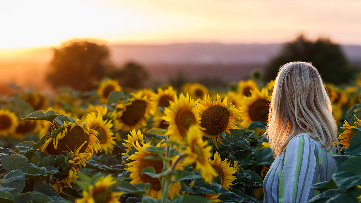 43 Sunflower Quotes to Inspire You | 1800Flowers Petal Talk